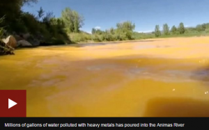 Colorado yellow river pollution in GCSE? - Rick Anderson - Tutor